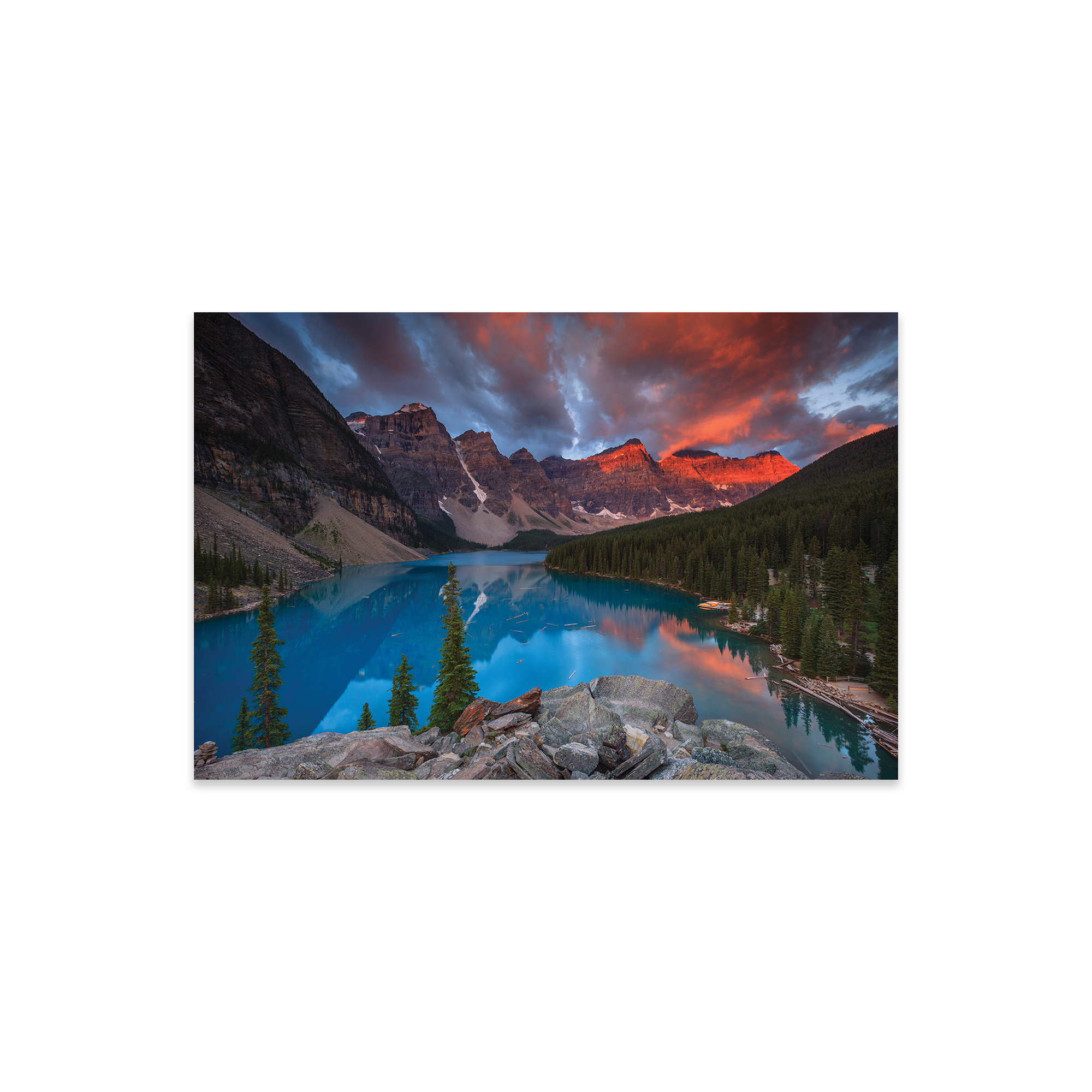 Millwood Pines Antonique Moraine Glory On Plastic/Acrylic by Sergio Lanza Graphic Art | Wayfair